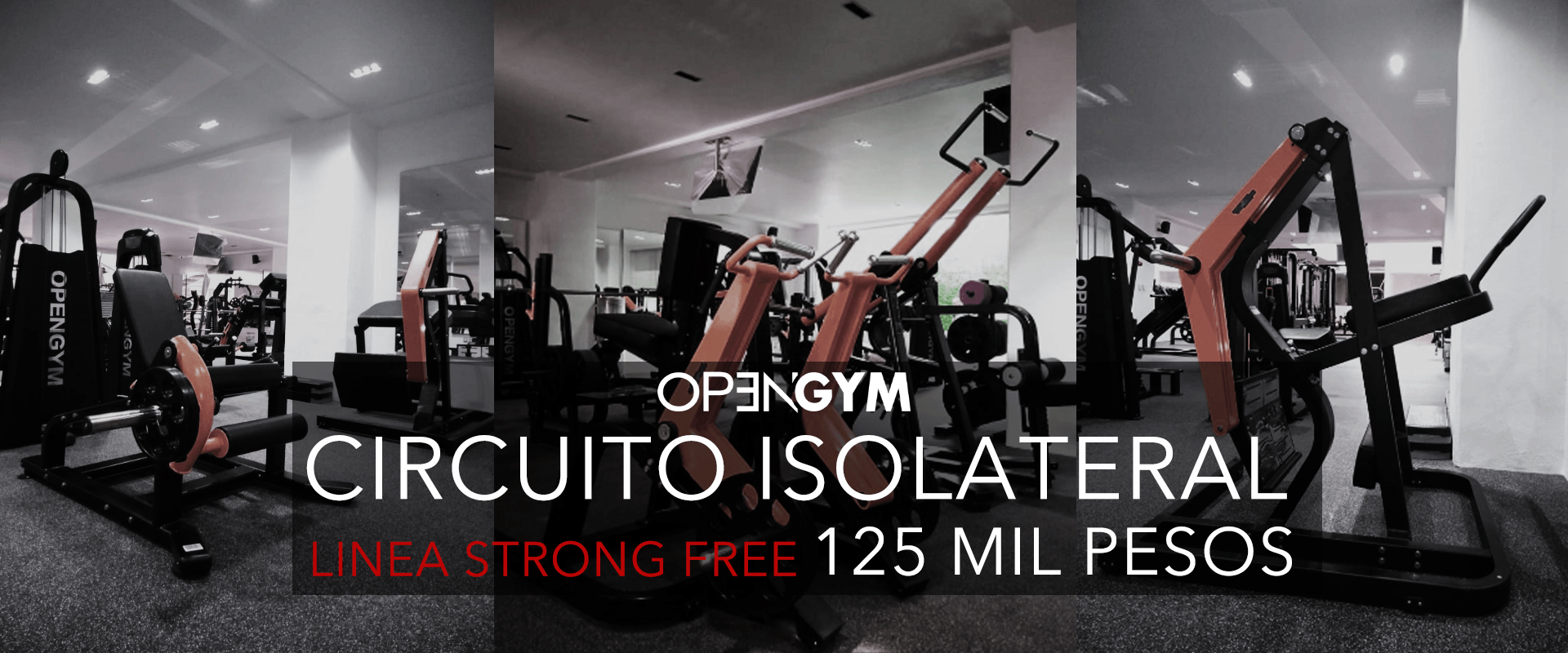 Venta de Aparatos de Gimnasio | Paquetes Personalizados | Open Gym